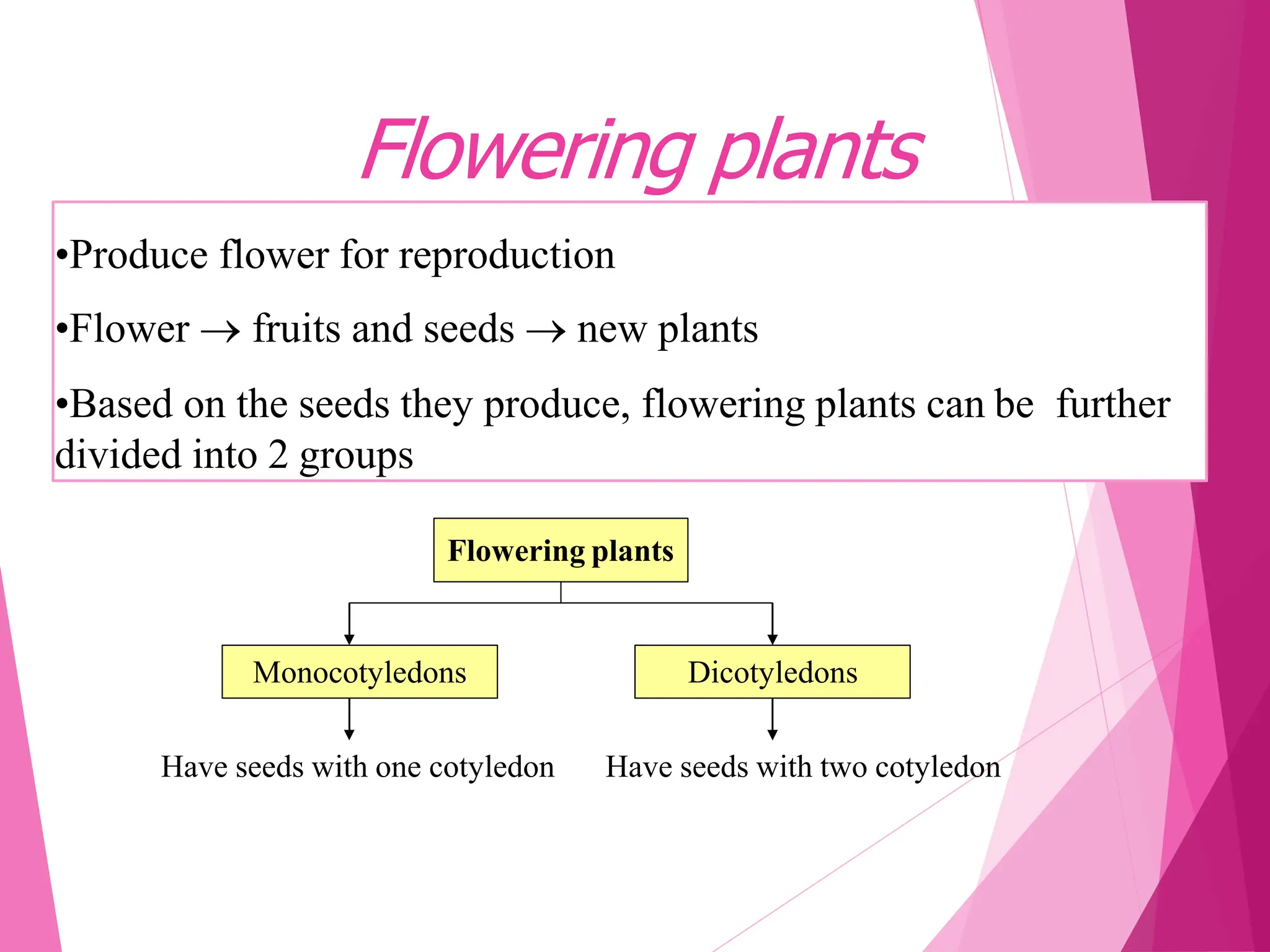 CHAPTER 1 BIODIVERSITY SCIENCE DLP FORM 2.pptx