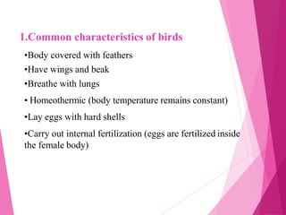 CHAPTER 1 BIODIVERSITY SCIENCE DLP FORM 2.pptx