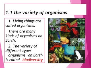 CHAPTER 1 BIODIVERSITY SCIENCE DLP FORM 2.pptx