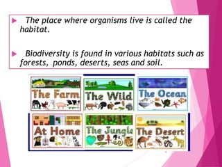 CHAPTER 1 BIODIVERSITY SCIENCE DLP FORM 2.pptx