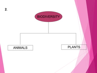 CHAPTER 1 BIODIVERSITY SCIENCE DLP FORM 2.pptx