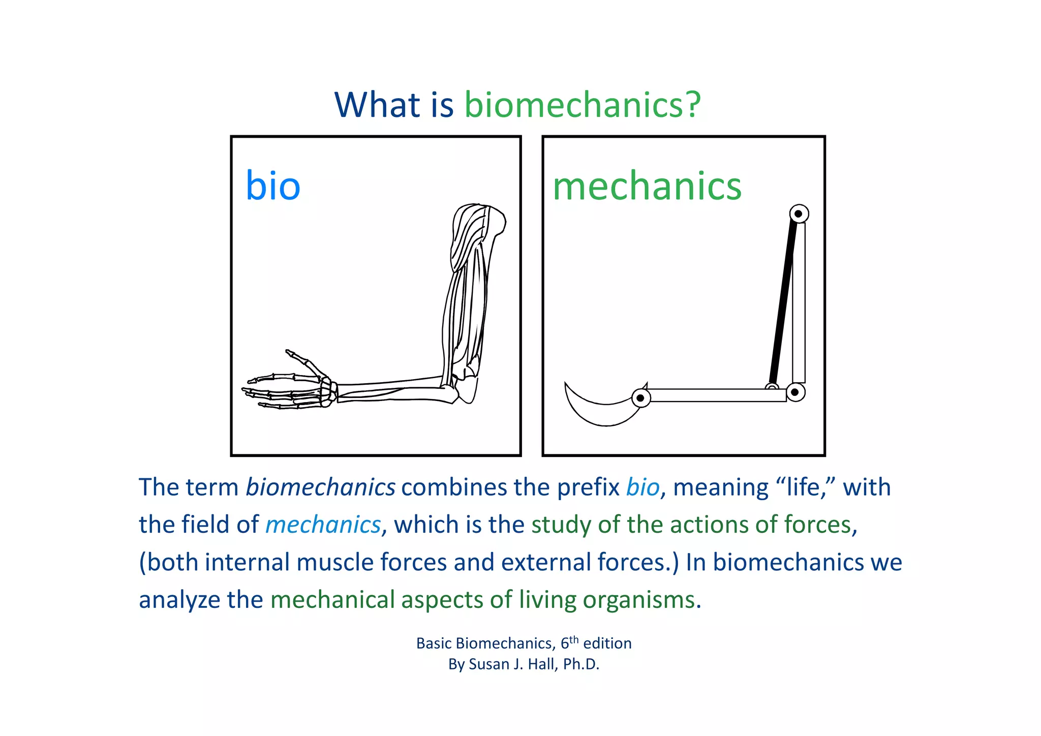 Chapter 1 biomechanic | PDF