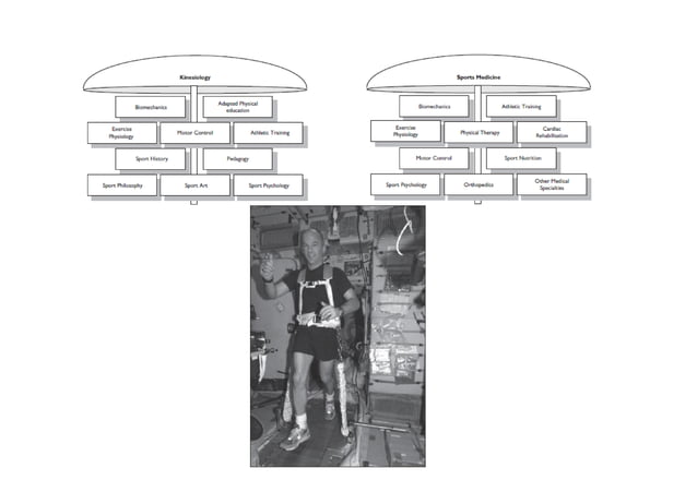 Chapter 1 biomechanic | PDF | Physics | Science