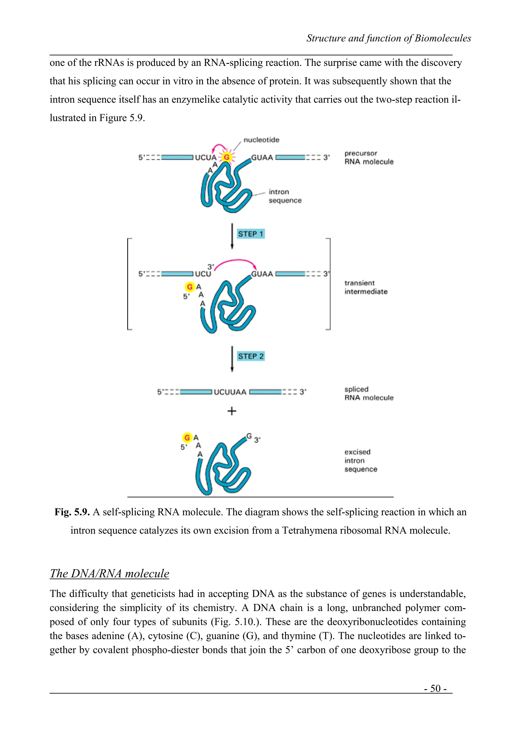 chapter_1_biomolecules.pdf..,/lkoop.,....,,, | PDF