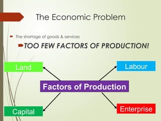 lecture of chapter1businessactivity igcse.pptx