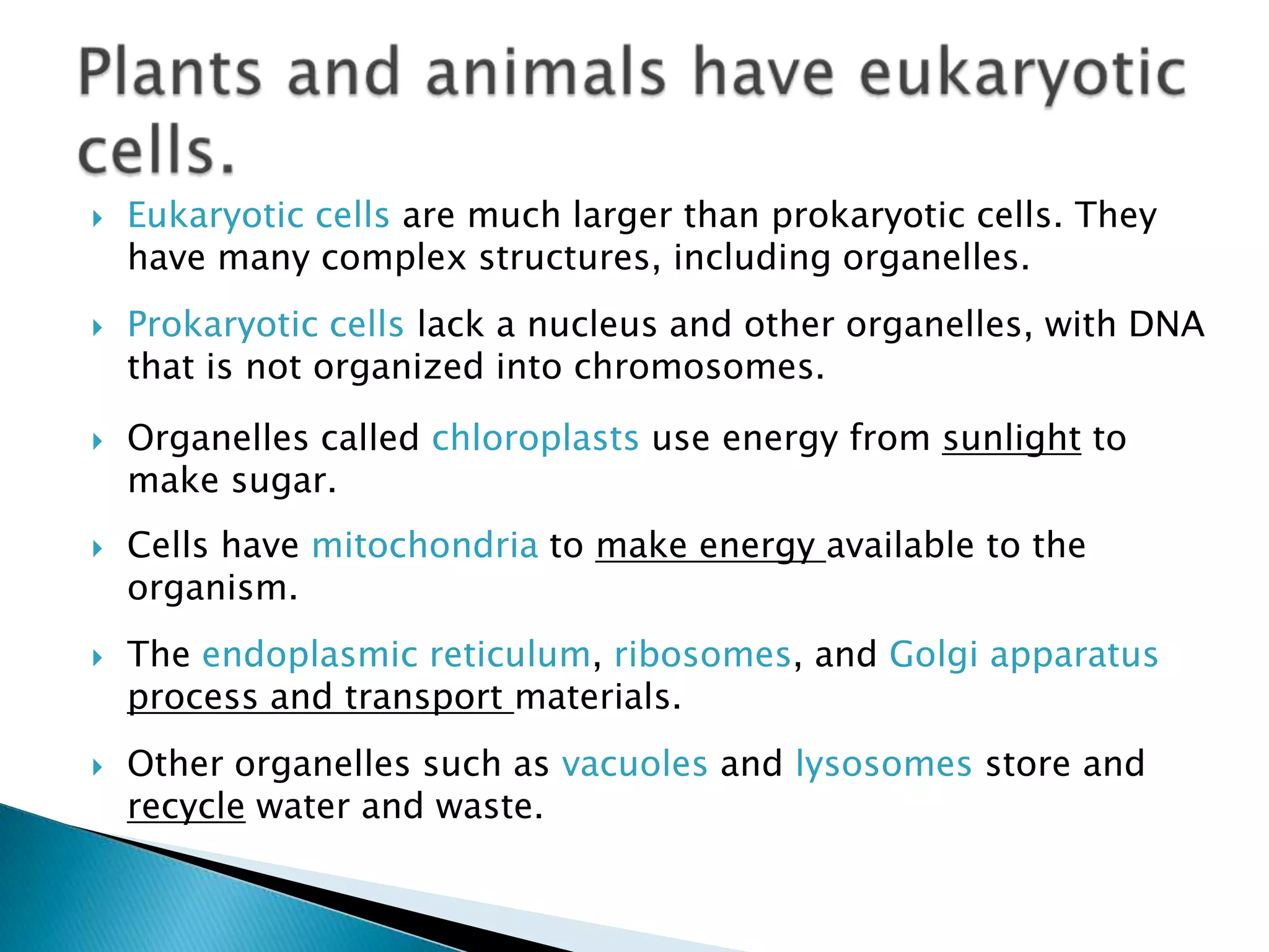 Chapter 1 cell review | PPTX | Biological Sciences | Science