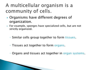 Chapter 1 cell review | PPTX | Biological Sciences | Science