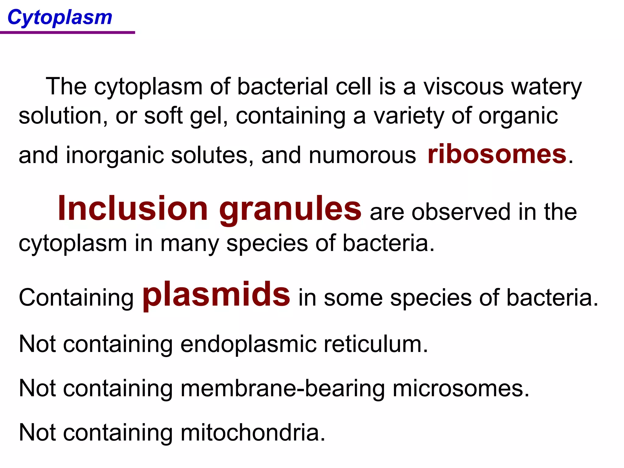 Chapter1 cell structure of bacteria | PPT