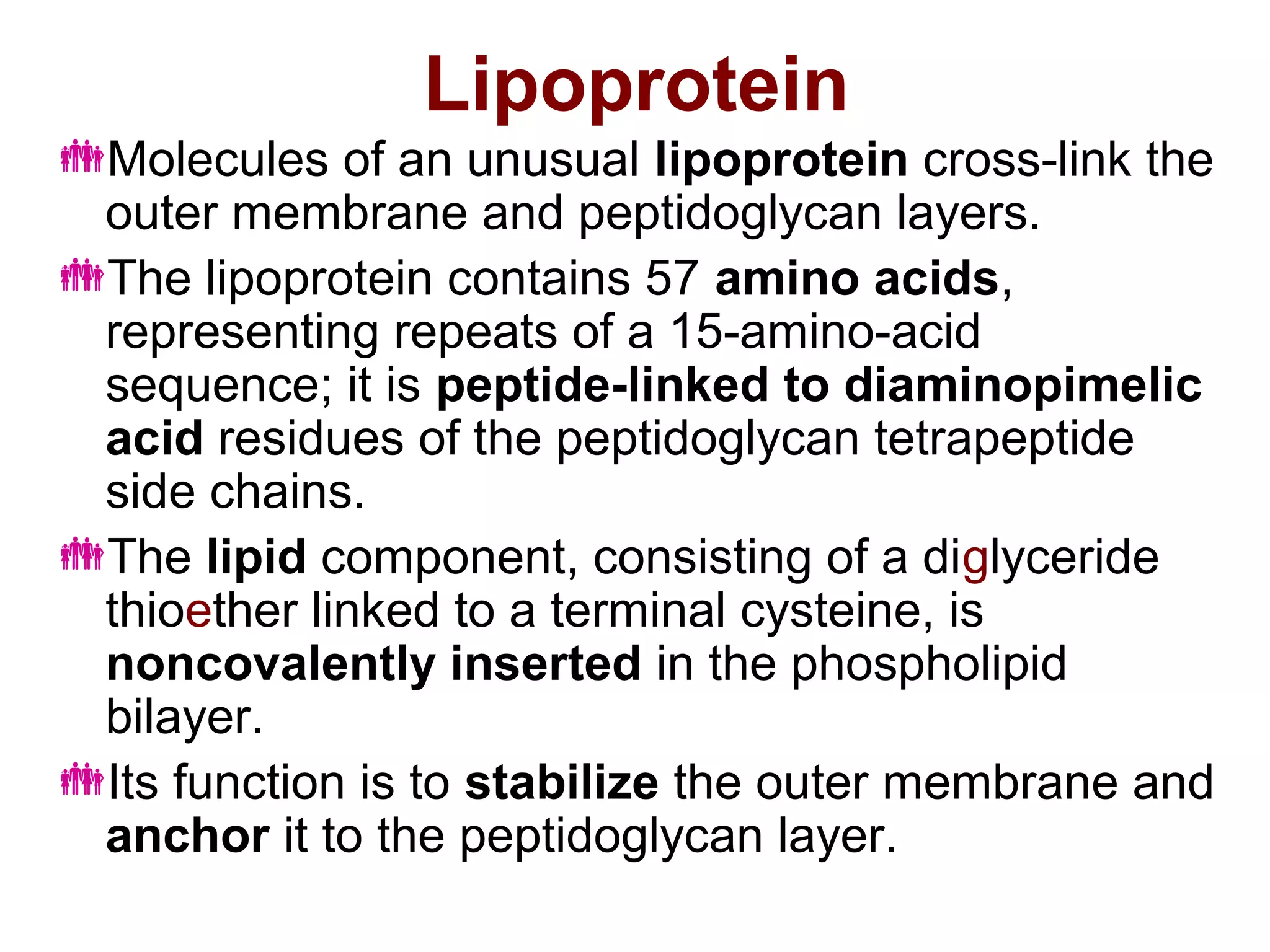 Chapter1 cell structure of bacteria | PPT