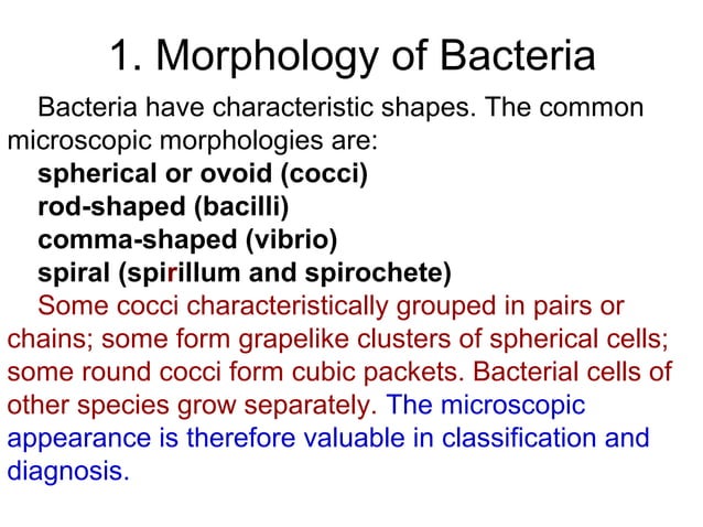 Chapter1 cell structure of bacteria | PPT | Biological Sciences | Science