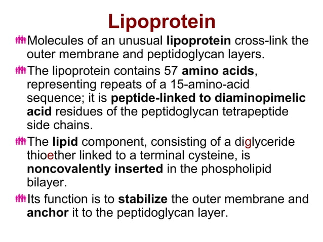 Chapter1 cell structure of bacteria | PPT | Biological Sciences | Science
