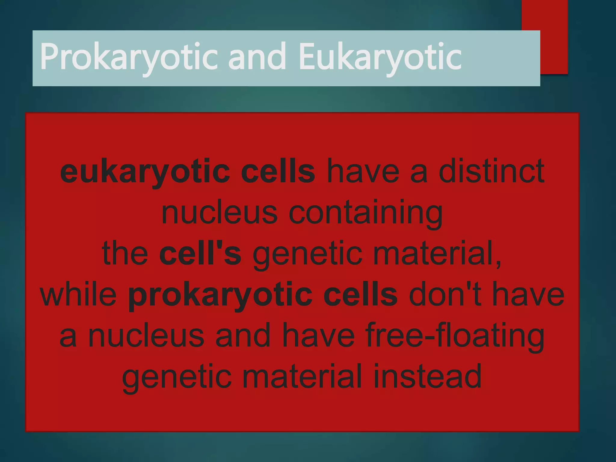 Chapter 1 Cell structures.pptx