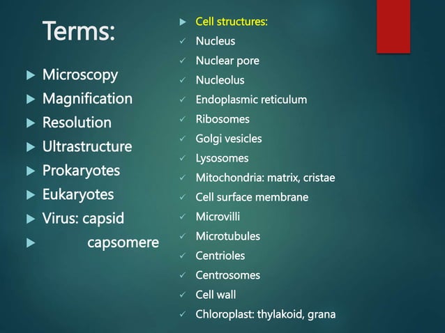 Chapter 1 Cell structures.pptx