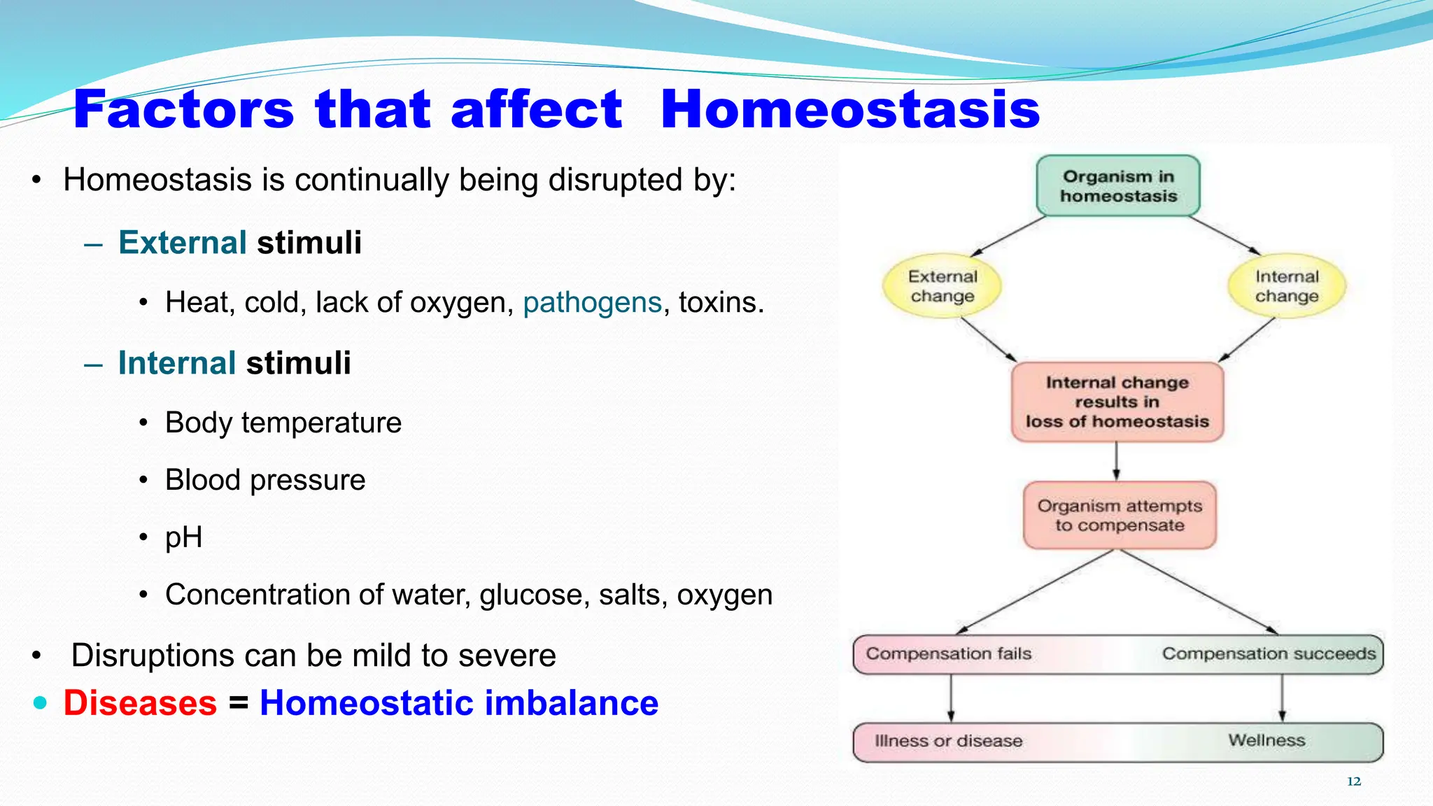 chapter 1 cellular physiology power point | PPTX