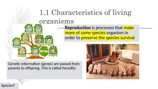 Chapter 1 Characteristics and Classification of Organisms.pptx