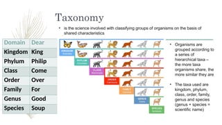 Chapter 1 Characteristics and Classification of Organisms.pptx
