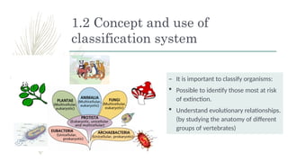 Chapter 1 Characteristics and Classification of Organisms.pptx