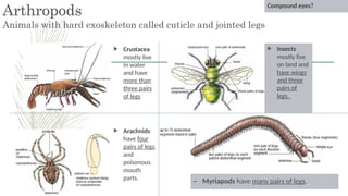 Chapter 1 Characteristics and Classification of Organisms.pptx