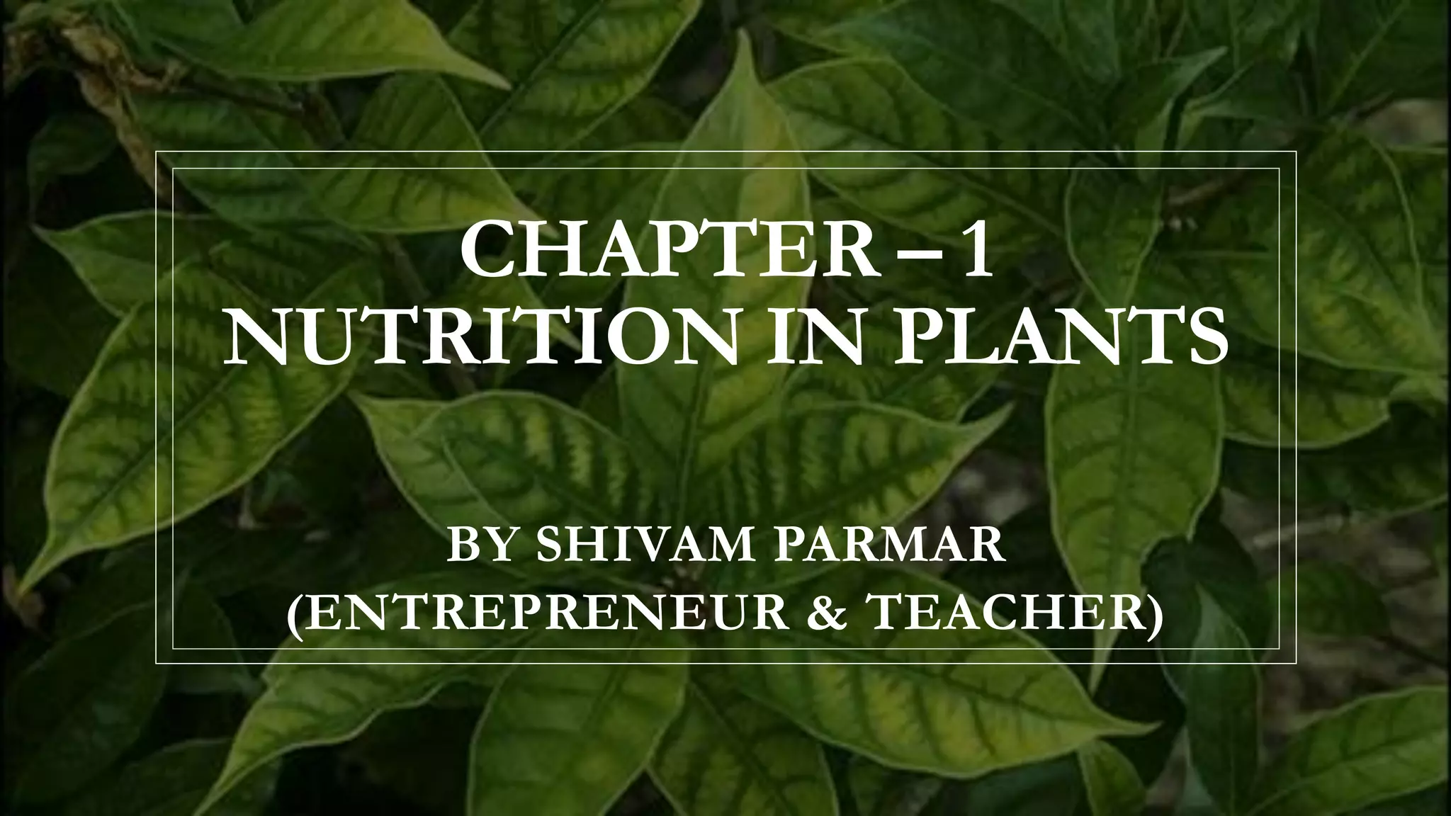 Chapter - 1, Nutrition in Plants, Science, Class 7 | PDF