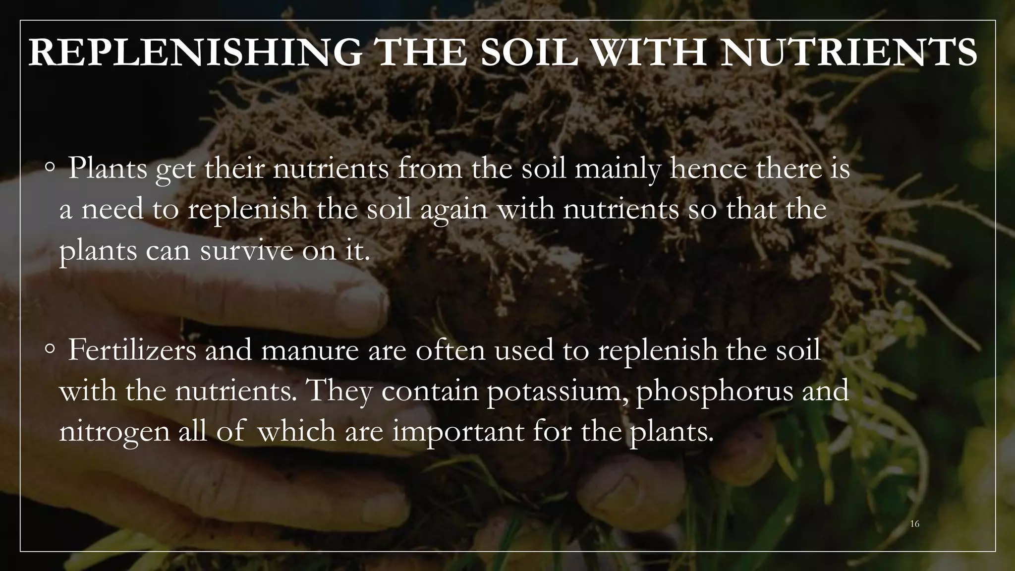 Chapter - 1, Nutrition in Plants, Science, Class 7 | PDF