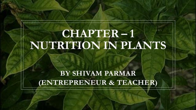 Chapter - 1, Nutrition in Plants, Science, Class 7 | PDF