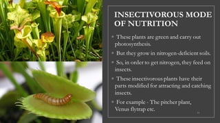 Chapter - 1, Nutrition in Plants, Science, Class 7 | PDF