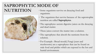 Chapter - 1, Nutrition in Plants, Science, Class 7 | PDF