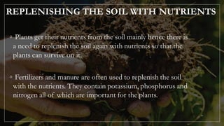 Chapter - 1, Nutrition in Plants, Science, Class 7 | PDF