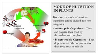 Chapter - 1, Nutrition in Plants, Science, Class 7 | PDF