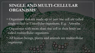Chapter - 1, Nutrition in Plants, Science, Class 7 | PDF