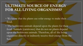 Chapter - 1, Nutrition in Plants, Science, Class 7 | PDF