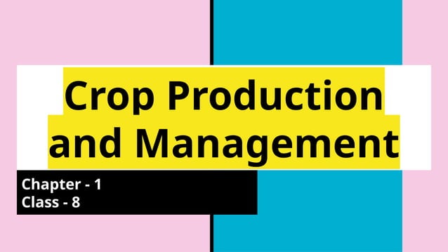 Chapter 1 Class 8 Crop Production and Management.pptx
