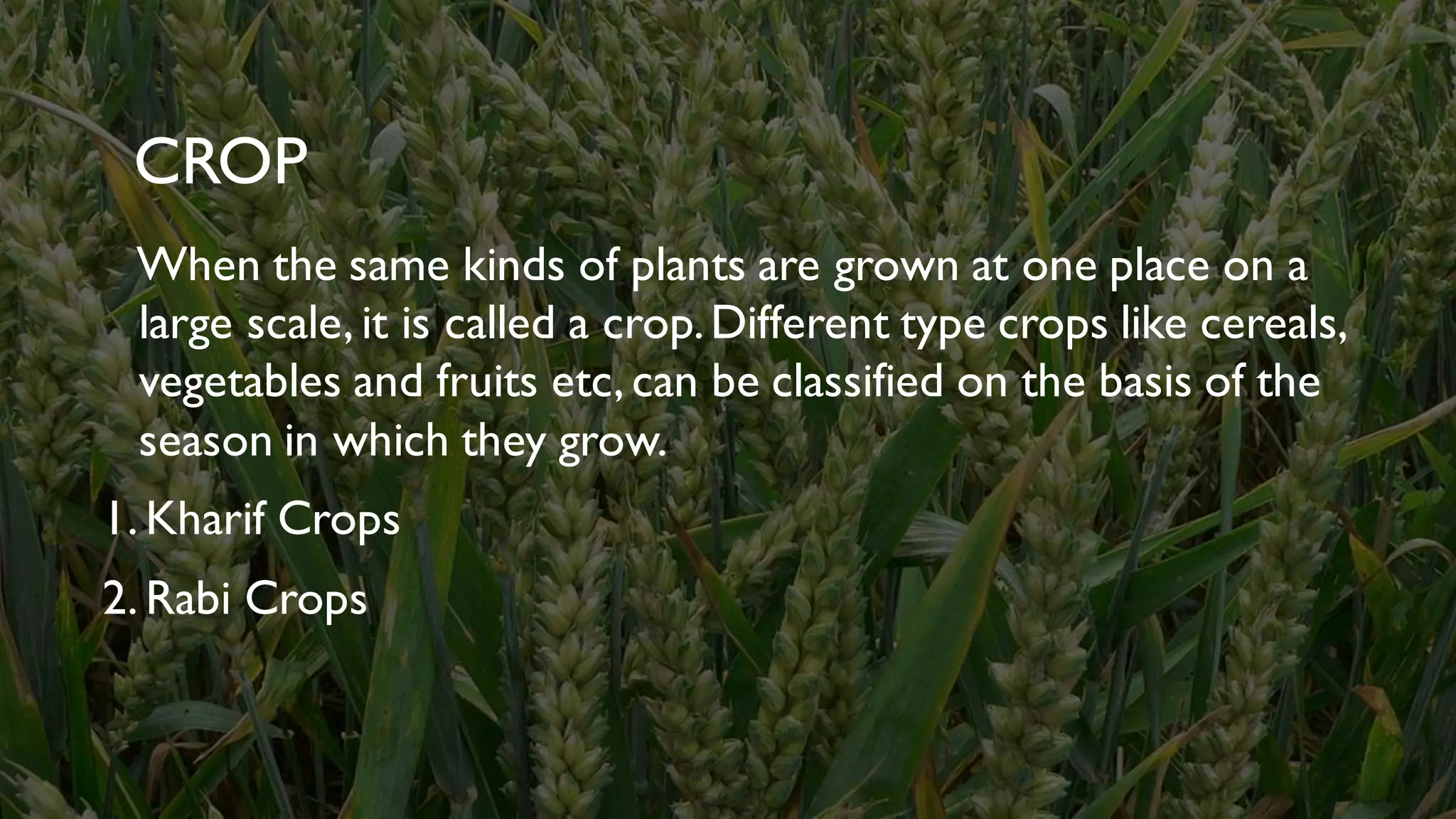 Chapter - 1, Crop Production and Management, Science, Class 8 | PDF