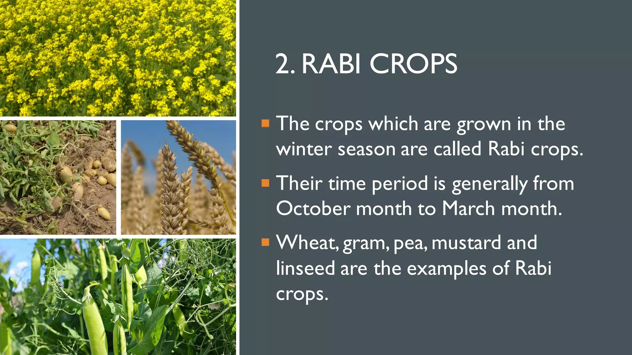 Chapter - 1, Crop Production and Management, Science, Class 8 | PDF