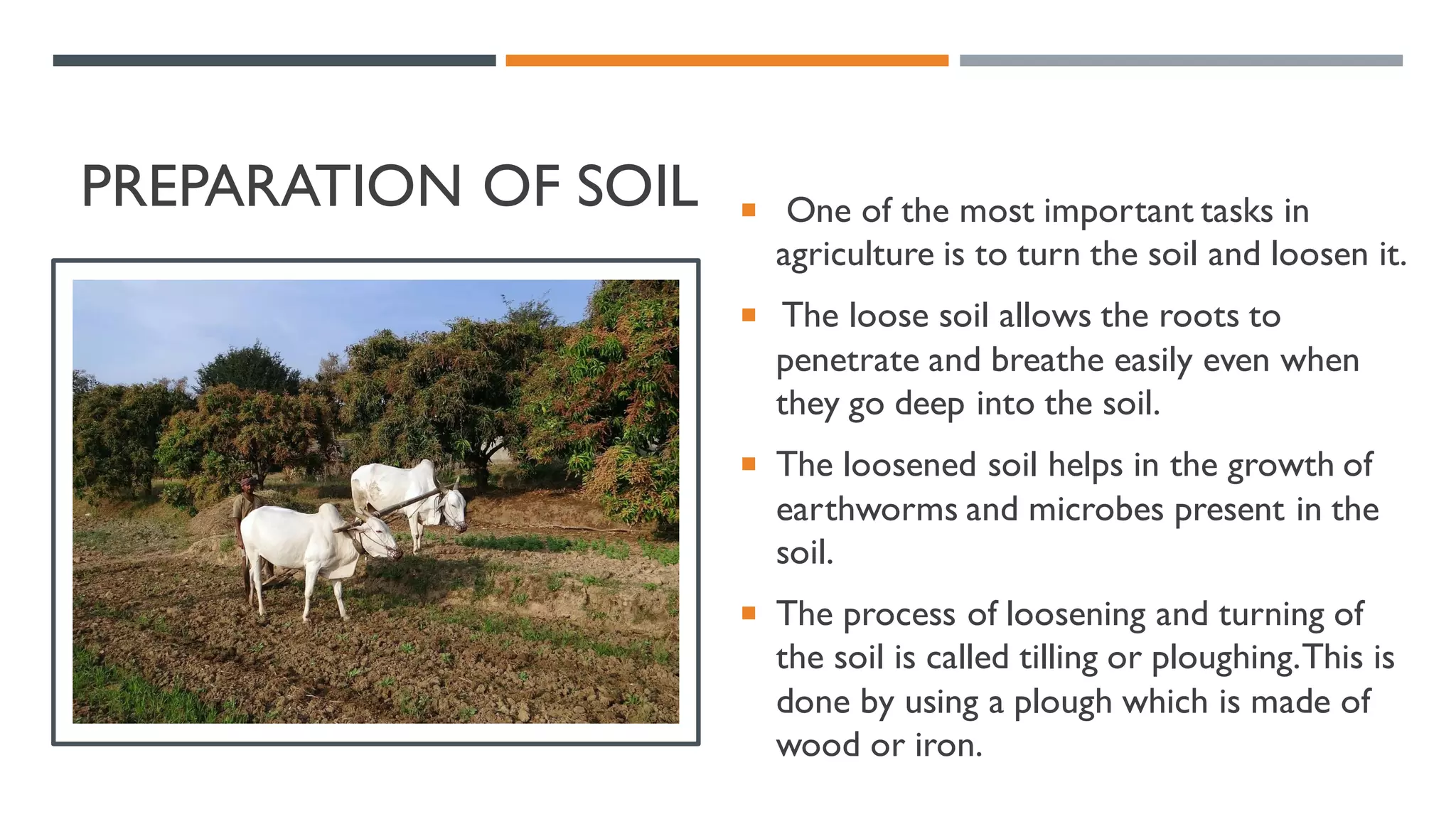 Chapter - 1, Crop Production and Management, Science, Class 8 | PDF