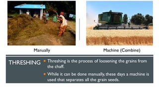 Chapter - 1, Crop Production and Management, Science, Class 8 | PDF