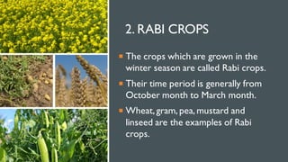 Chapter - 1, Crop Production and Management, Science, Class 8 | PDF