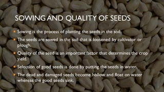 Chapter - 1, Crop Production and Management, Science, Class 8 | PDF