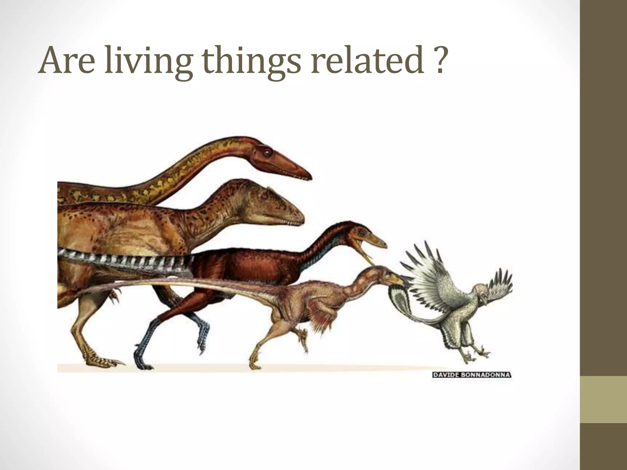 Chapter 1(classifying life) 7th grade [autosaved] | PPT