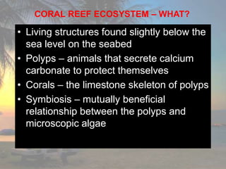 Chapter 1 coasts part 4 | PPTX