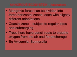 Chapter 1 coasts part 5 | PPT