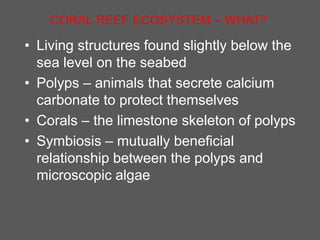 Chapter 1 coasts part 5 | PPT