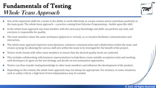 Chapter 1 - Fundamentals of Testing V4.0 | PDF