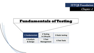Chapter 1 - Fundamentals of Testing V4.0 | PDF