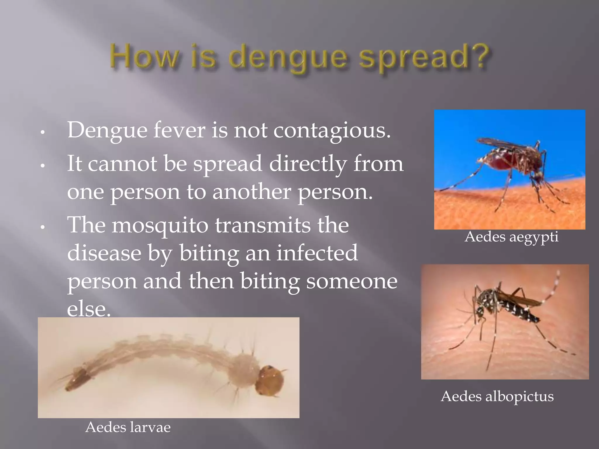 Chapter 1 dengue fever in general | PPTX