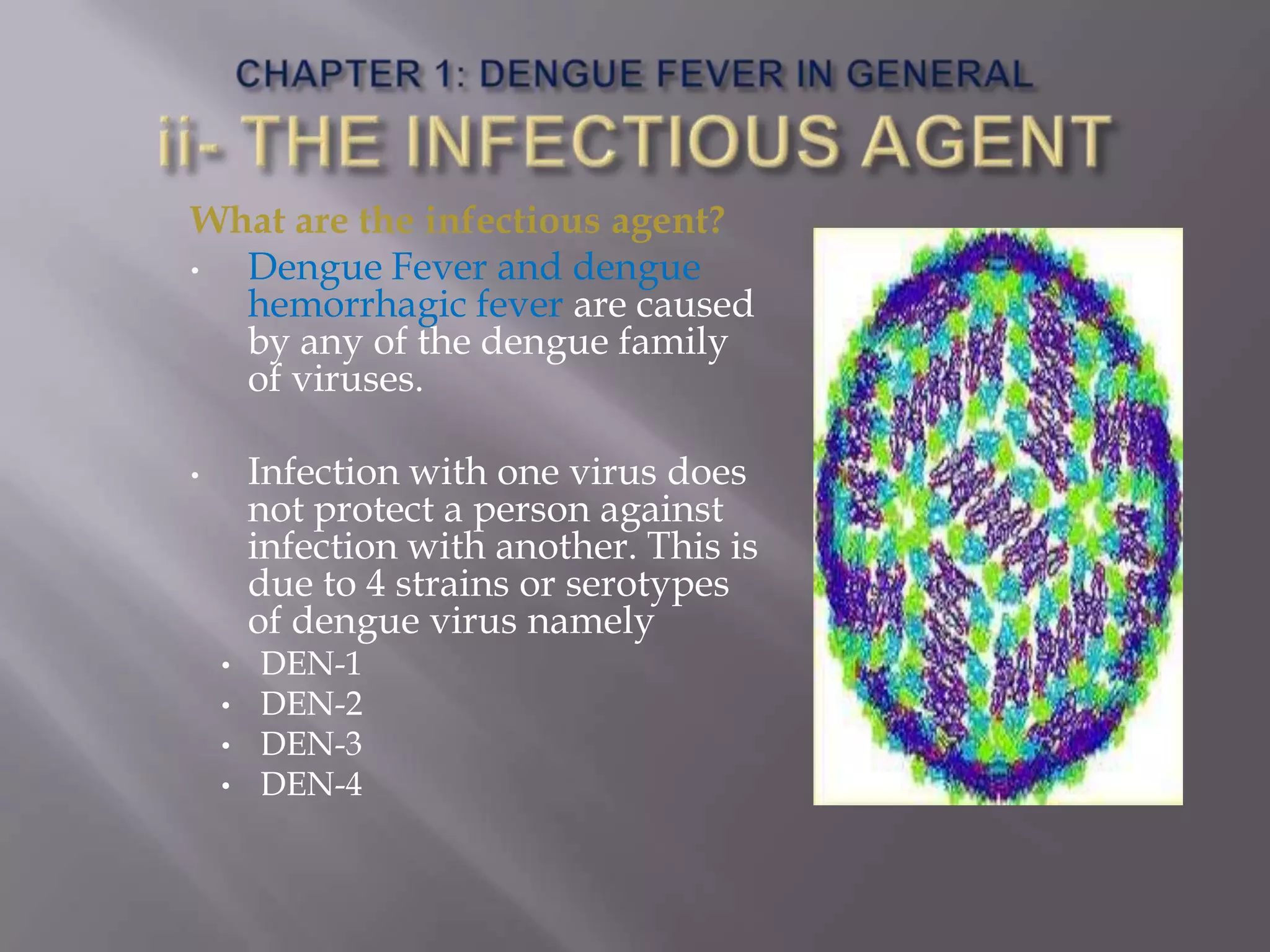 Chapter 1 dengue fever in general | PPTX