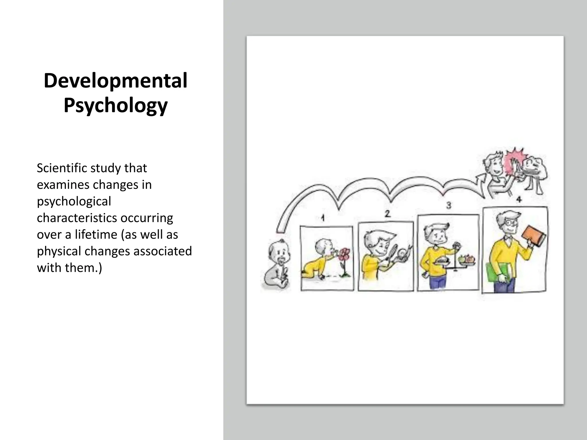 Chapter 1 Developmental Psychology.pdf | Parenting | Family and Relationships