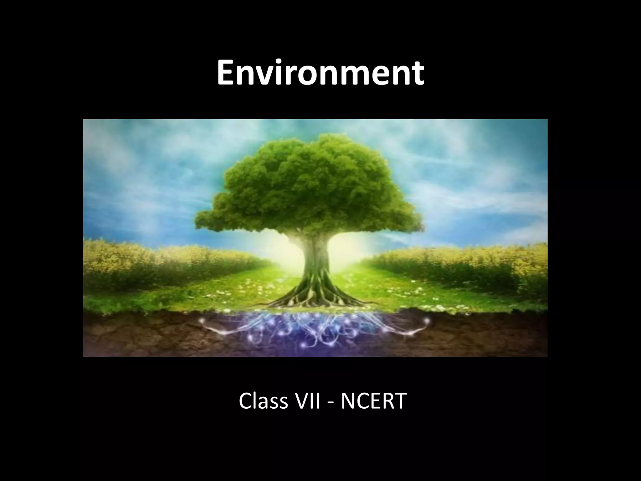 Environment - Class 7 - Geography (Social Studies) | PPTX