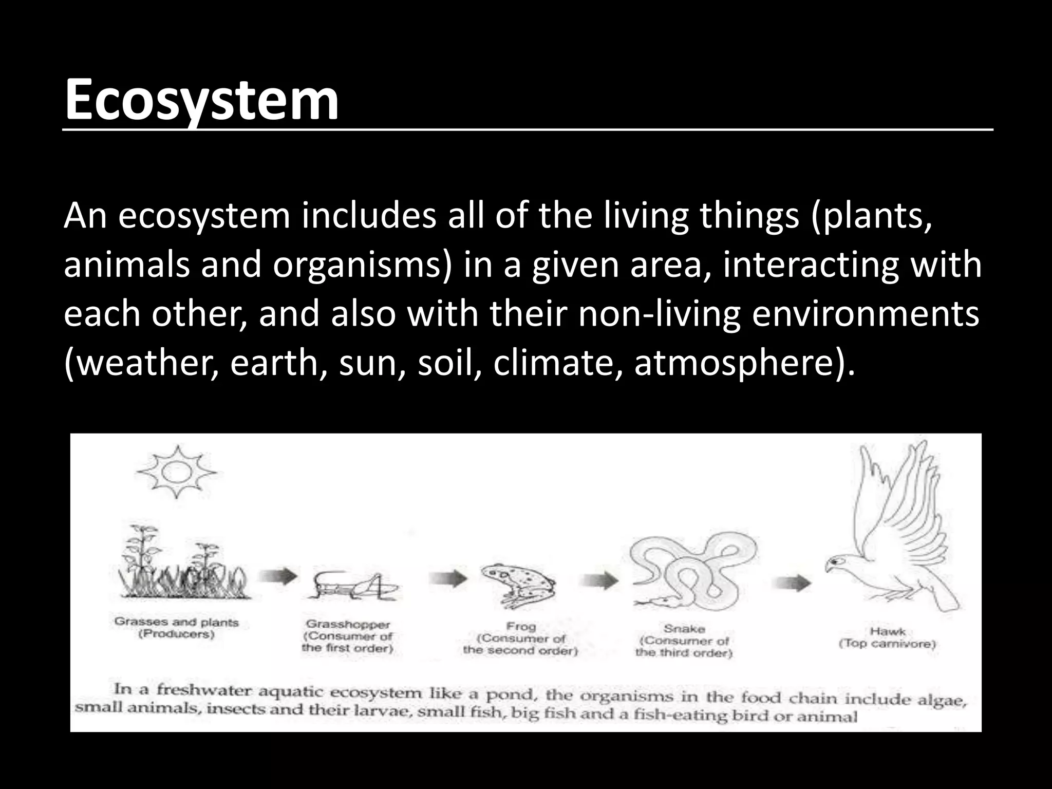 Environment - Class 7 - Geography (Social Studies) | PPTX