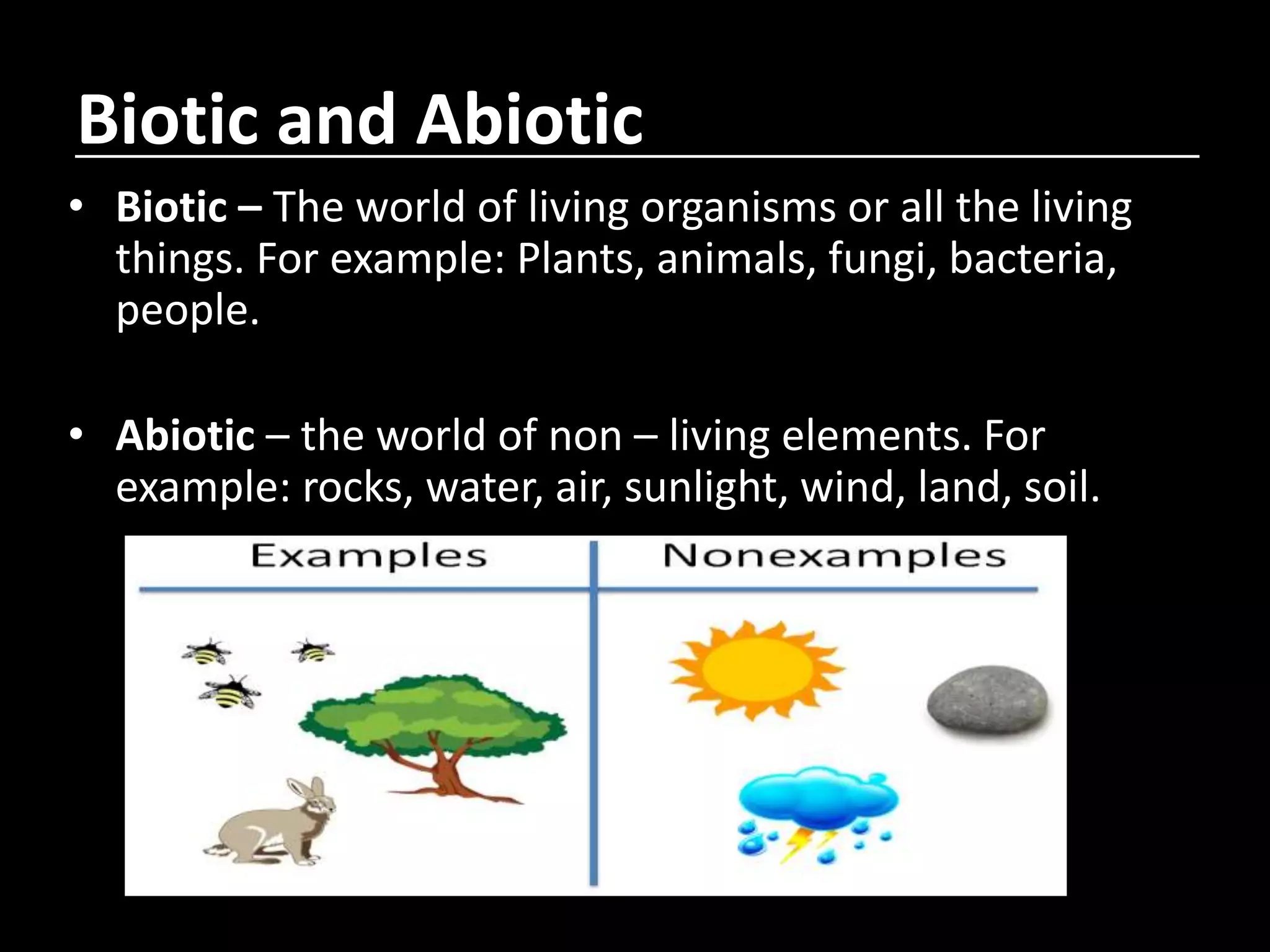 Environment - Class 7 - Geography (Social Studies) | PPTX